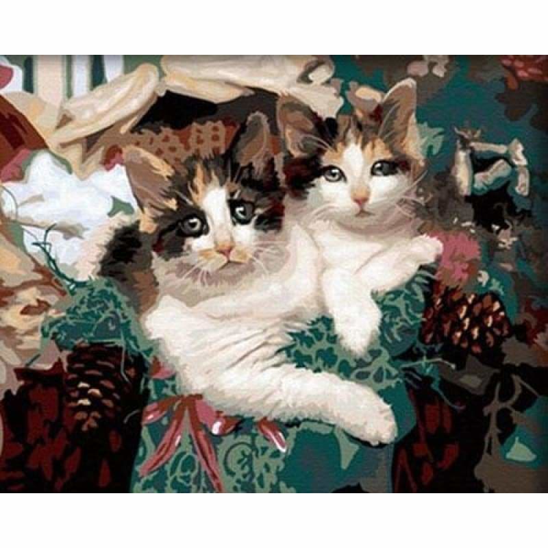 Cat Diy Paint By Numbers Kits ZXZ-097 – The Fox Collection