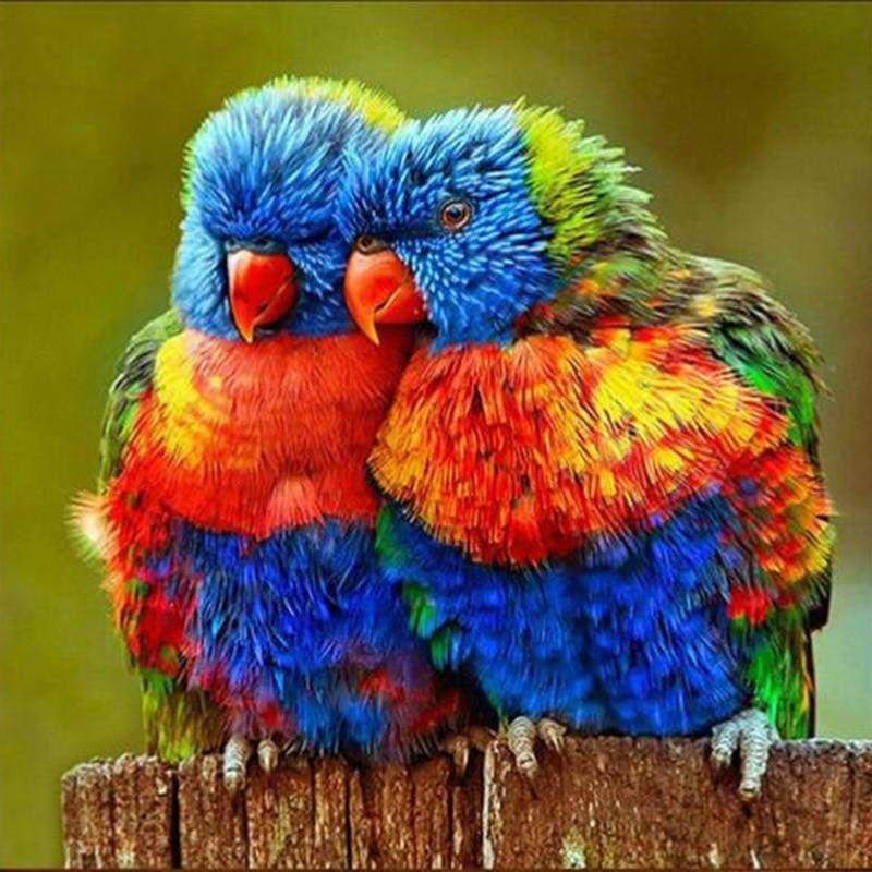 Animal Diamond Painting Kits – Page 69 – The Fox Collection