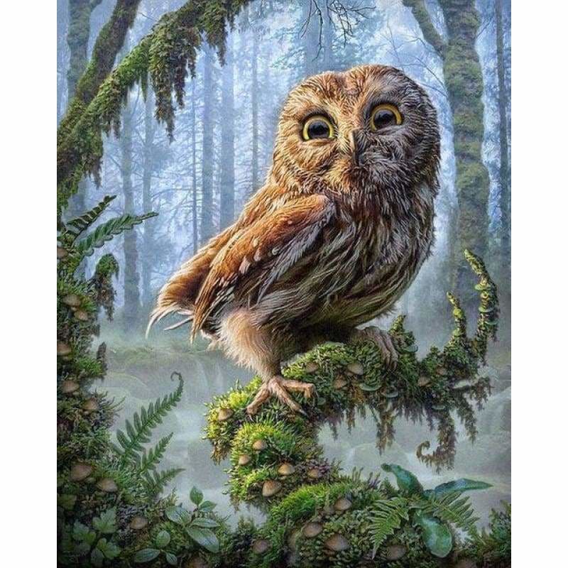 Full Drill - 5D DIY Diamond Painting Kits Cartoon Animal Owl – The Fox ...