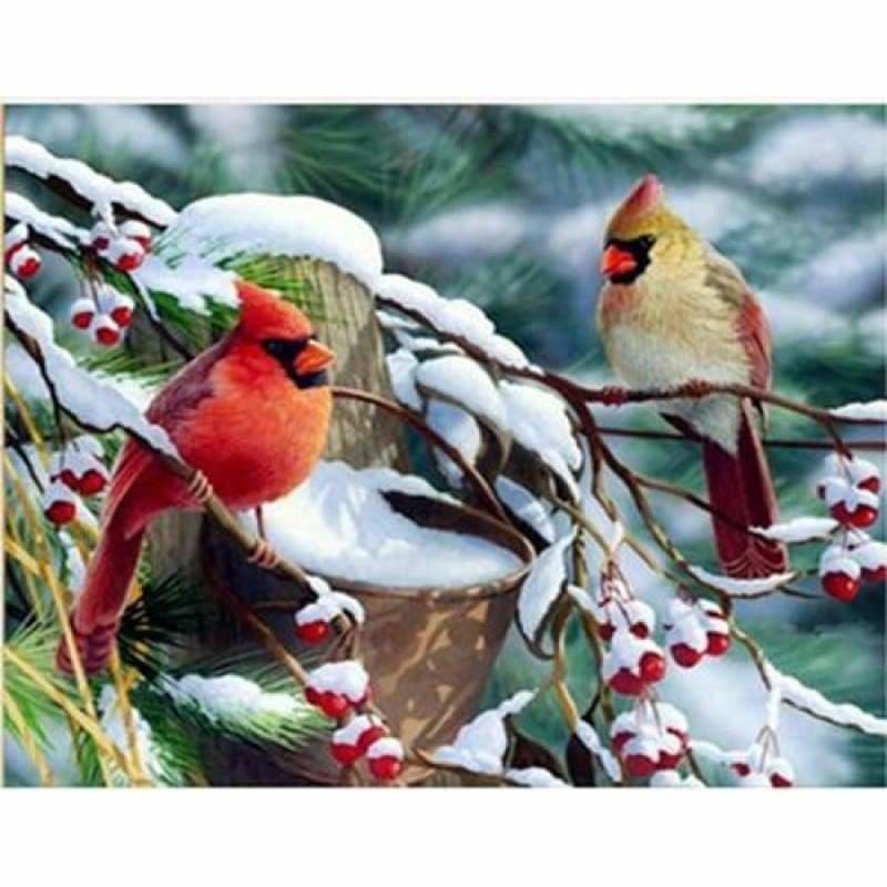 New Snow Bird Bling Bling Art Diamond Painting Kits VM8562 – The Fox ...